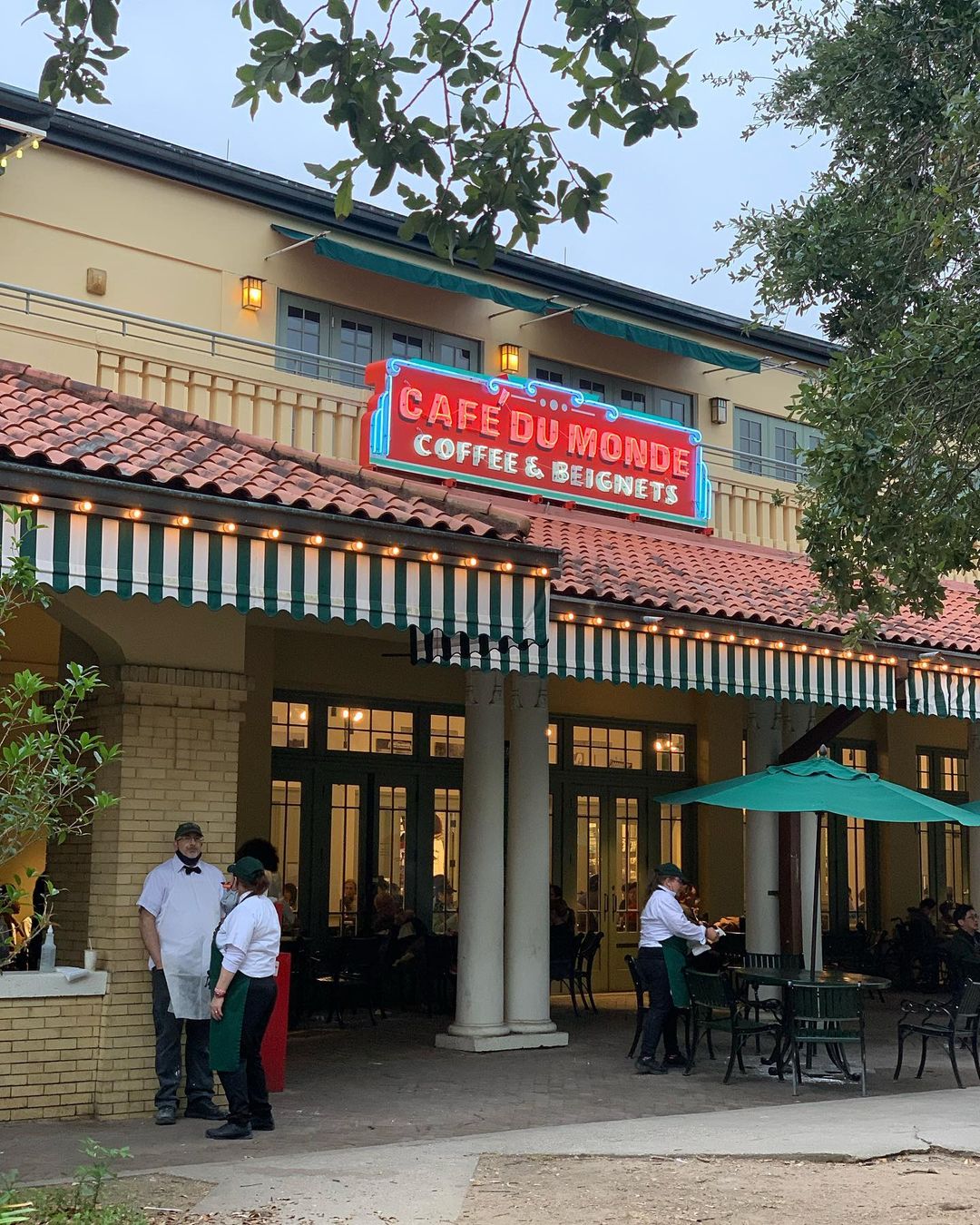 A Visitor's Guide to City Park in New Orleans