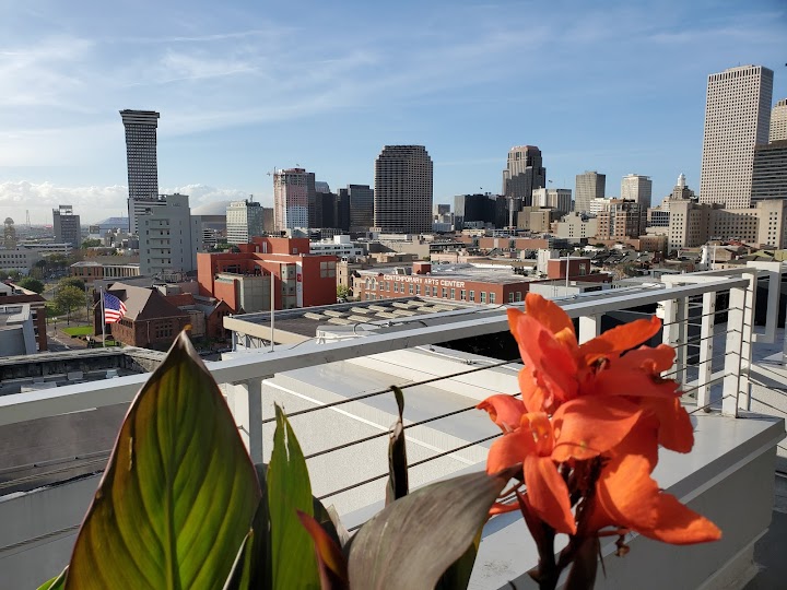 Rosie’s On The Roof - Book NOLA