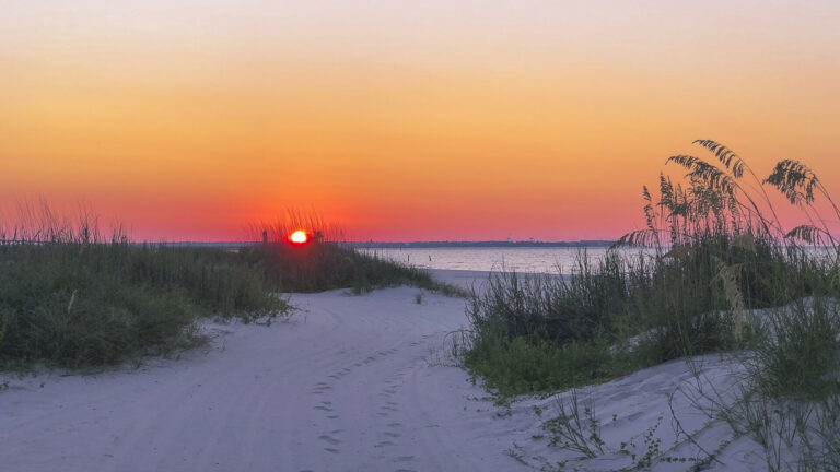 Best Beaches In & Near New Orleans